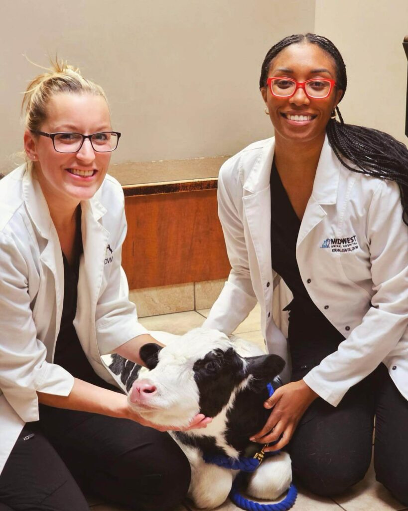 Our Team in Orland Park, IL | Midwest Animal Hospital