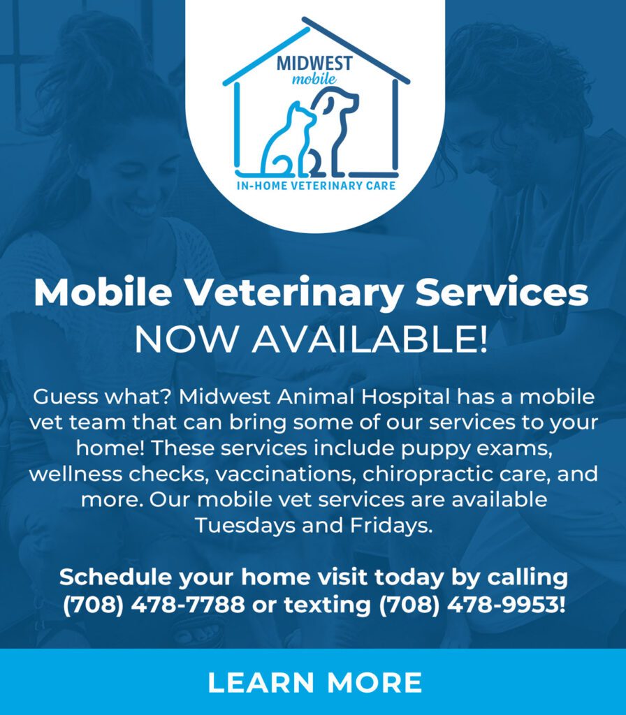 Veterinarian & Animal Hospital in Orland Park, IL | Midwest Animal Hospital